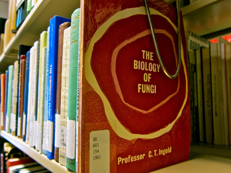 Suzzallo and Allen Libraries - UW Libraries
